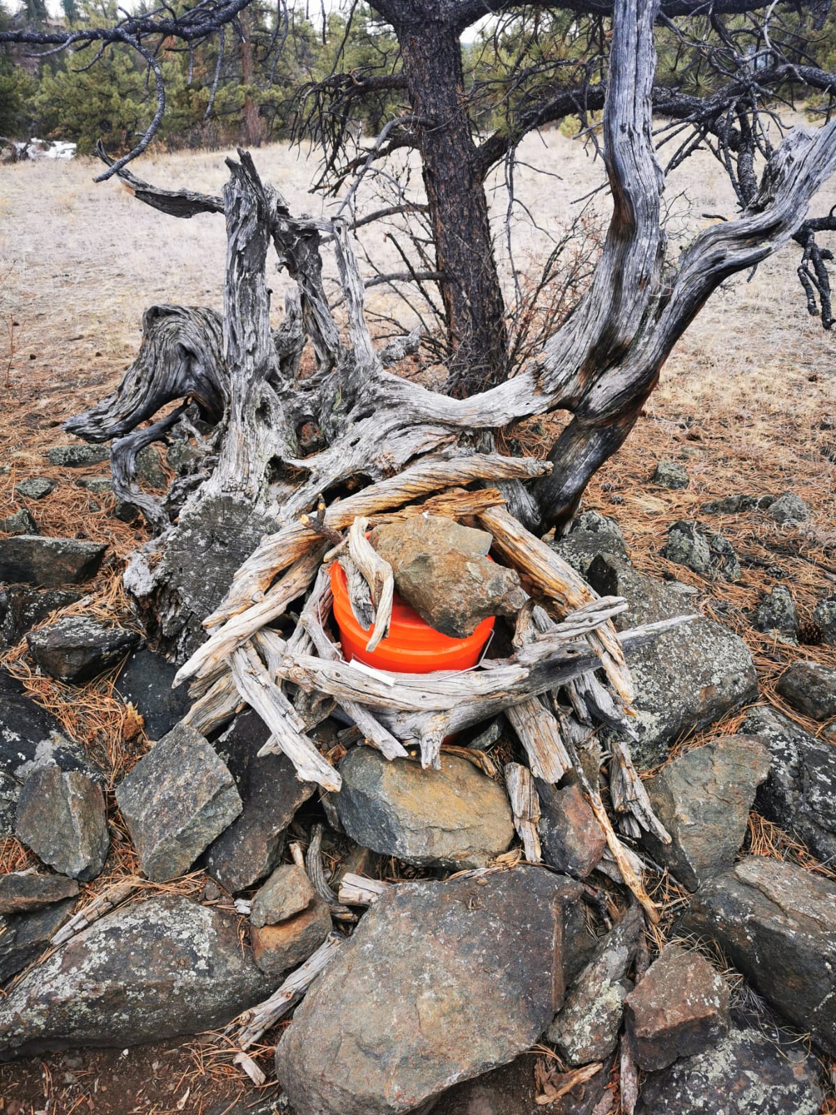 Deutschlands Oldies - ein Interview mit einem, der die 16 Ältesten Cac ...