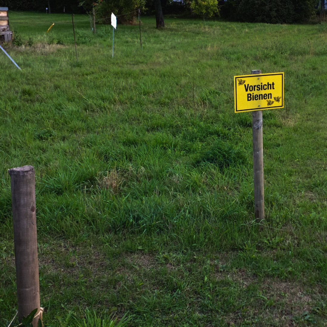 Geocaching Knigge – Cacher Reisen